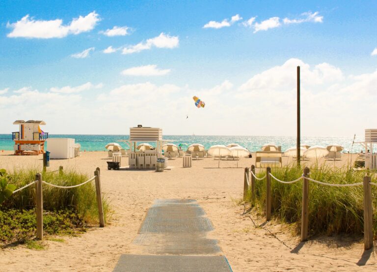 Miami City Tours & Day Trips | Miami Sightseeing Tours | Gray Line Miami